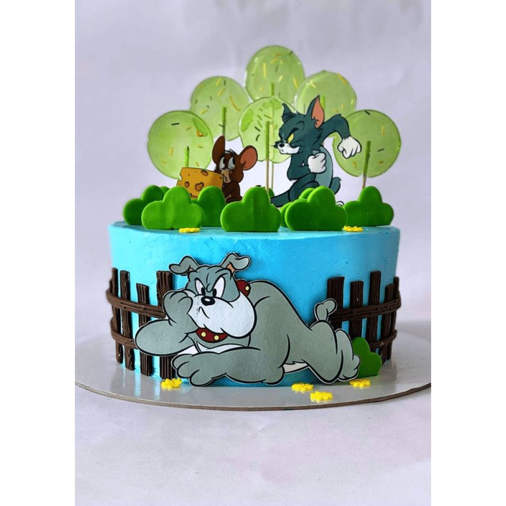 Tom And Jerry Kids Cartoon Theme Photo Fondant Cake